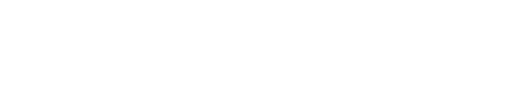 About - Wellfleet Special Risk